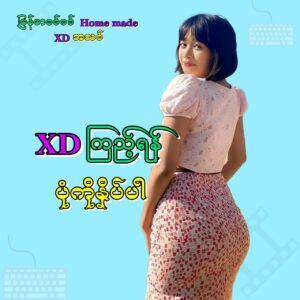 The Expanding World of Digital Assets - Blog